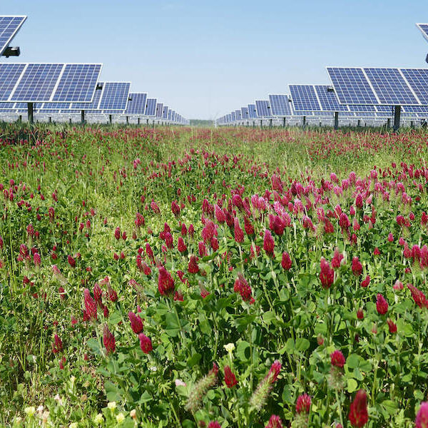 AB CarVal Completes Acquisition of SolAmerica Energy – SolAmerica Energy